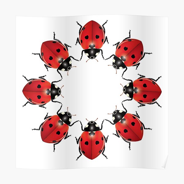 "Seven spot ladybugs dancing" Poster for Sale by Ricogfx | Redbubble