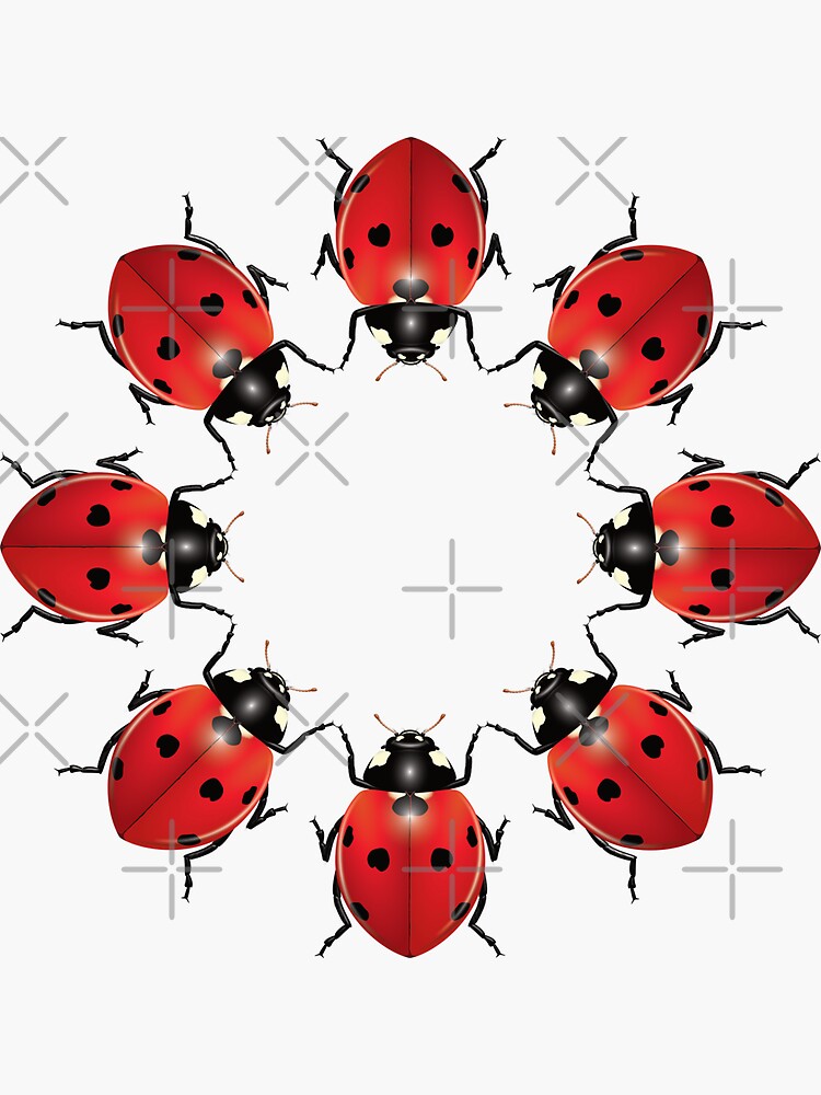 "Seven spot ladybugs dancing" Sticker for Sale by Ricogfx | Redbubble