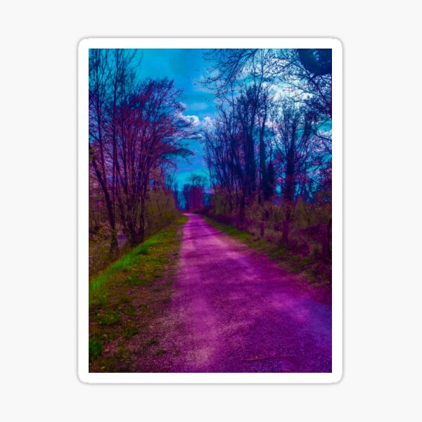 "Scenic Road" Sticker for Sale by chasinghome | Redbubble