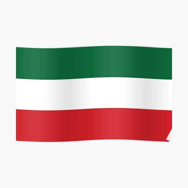 "Patriote flag" Poster by wickedcartoons | Redbubble