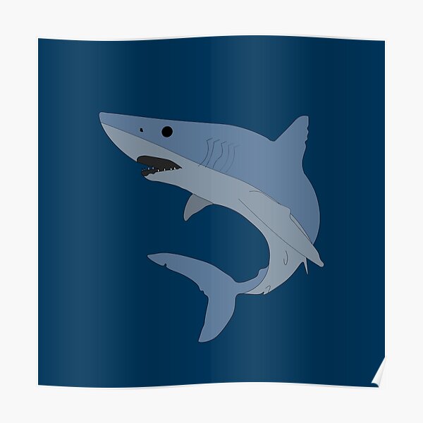 "Mako Shark Illustration" Poster by MrTDesigns | Redbubble