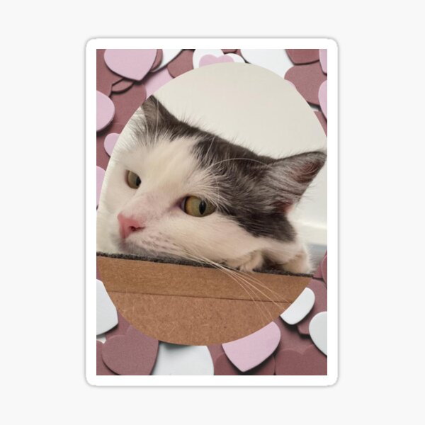 "Arte digital gatinho lindo" Sticker for Sale by anamnina | Redbubble