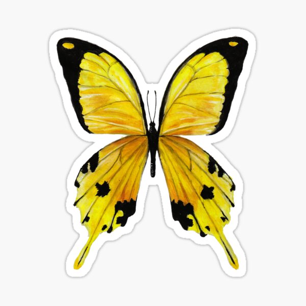 "Realistic Yellow Butterfly" Sticker for Sale by MothThePainter | Redbubble