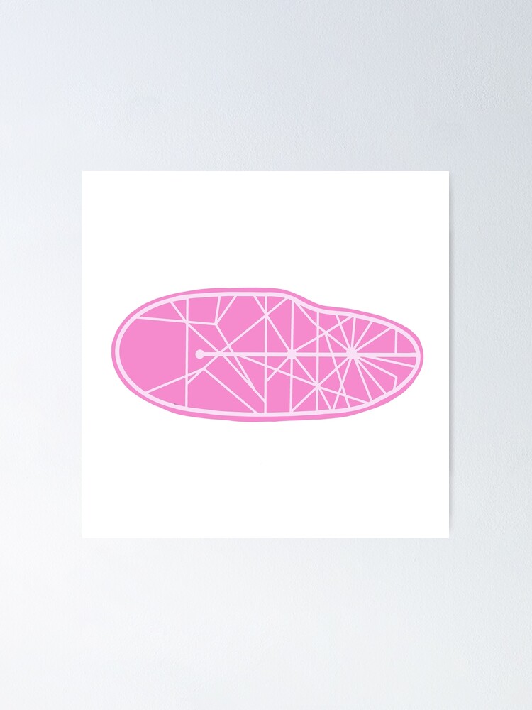 "Ohio College pathways pink oval" Poster for Sale by Niklauss | Redbubble