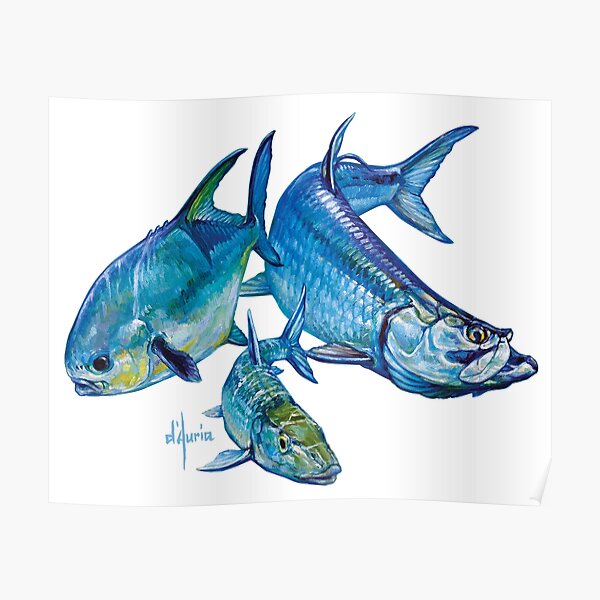 "Inshore Grand Slam" Poster for Sale by tdauria | Redbubble