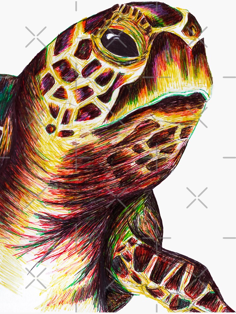 "Turtle pen drawing " Sticker for Sale by SarahsDesignz12 | Redbubble