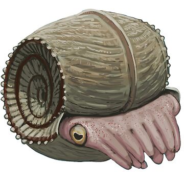 "Tropites" Sticker by PaleostreamShop | Redbubble