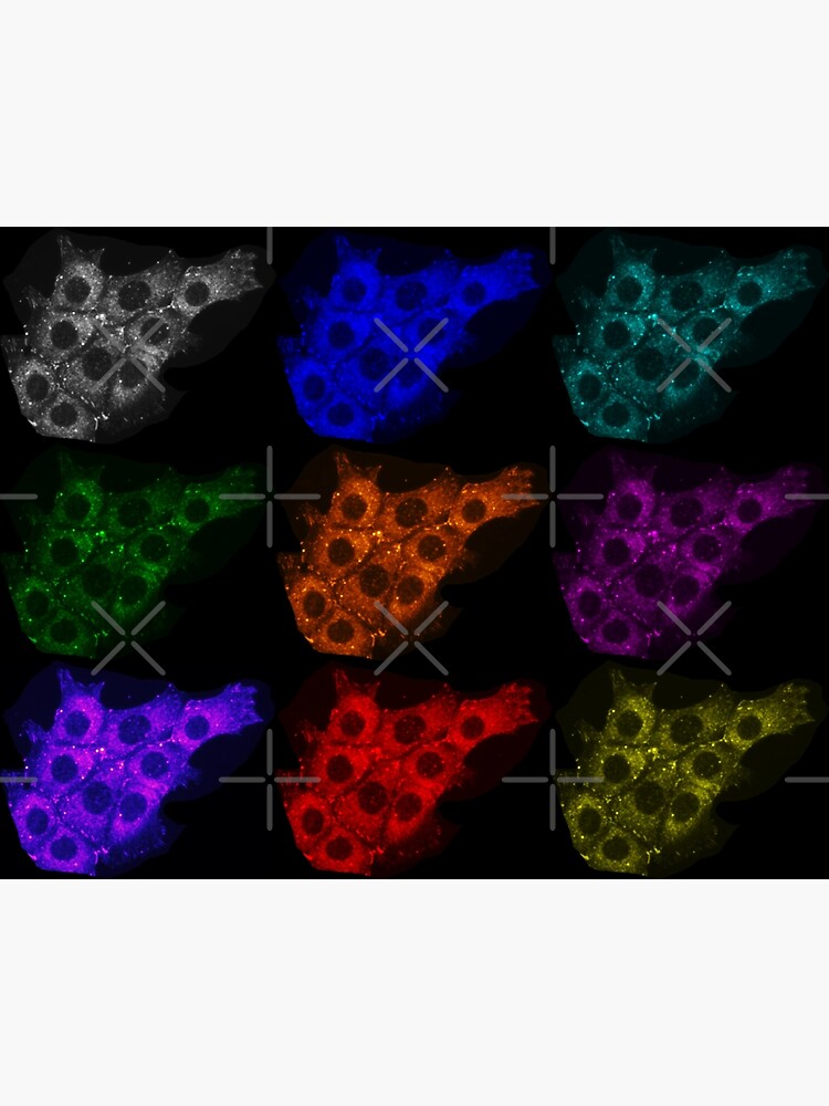 "Neon rainbow epithelial cell micrograph beautiful abstract art and ...
