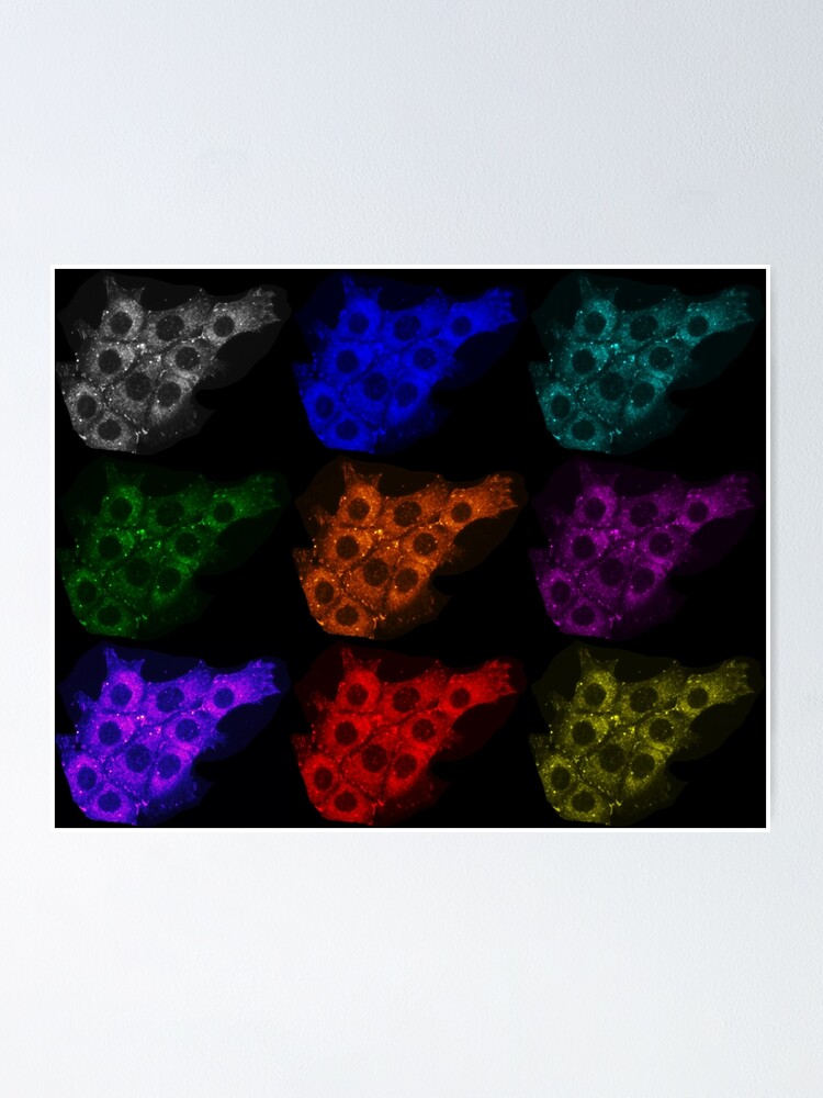 "Neon rainbow epithelial cell micrograph beautiful abstract art and ...