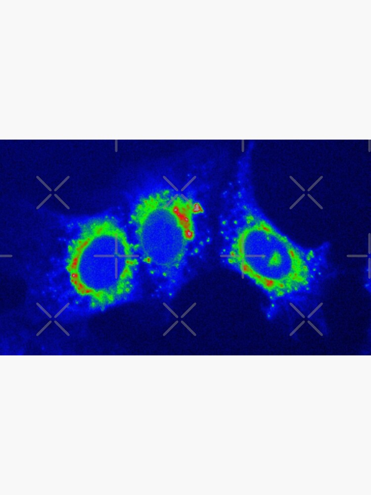 "Neon blue green cells - Art by Science" Photographic Print for Sale by ...