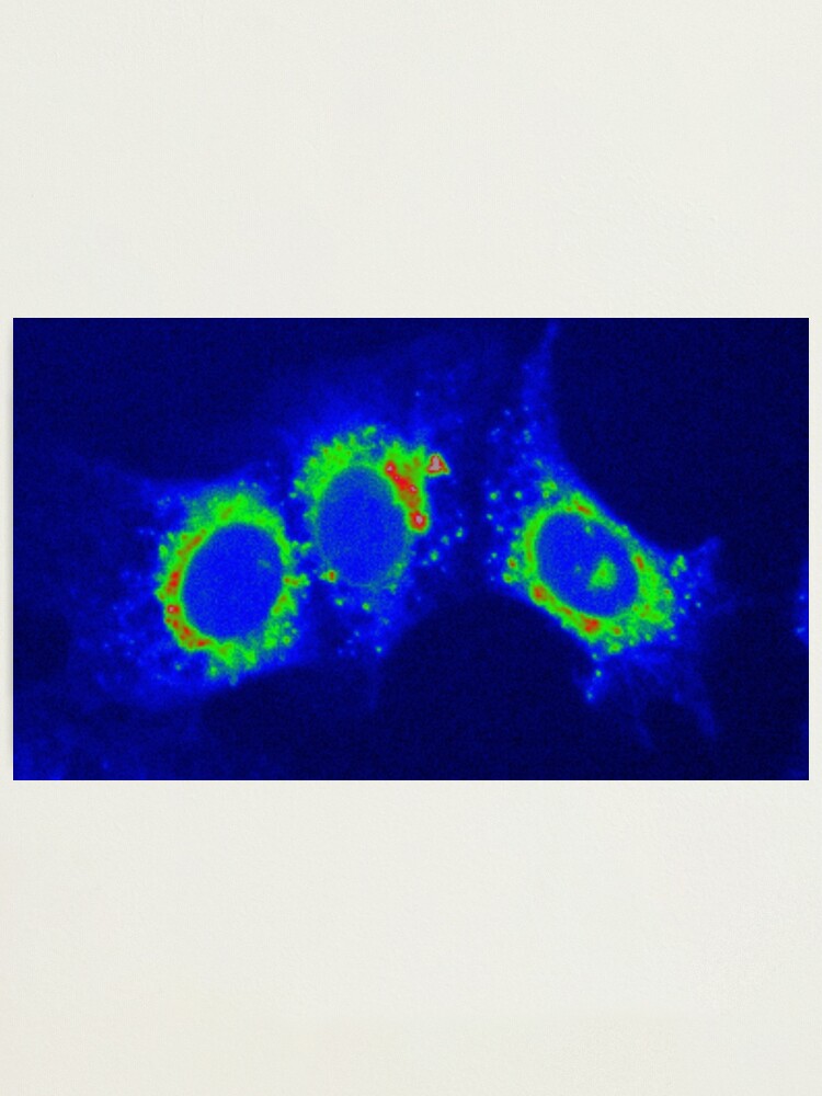 "Neon blue green cells - Art by Science" Photographic Print for Sale by ...