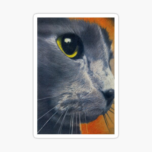 "Cat Eyes" Sticker for Sale by Irie-Claire | Redbubble