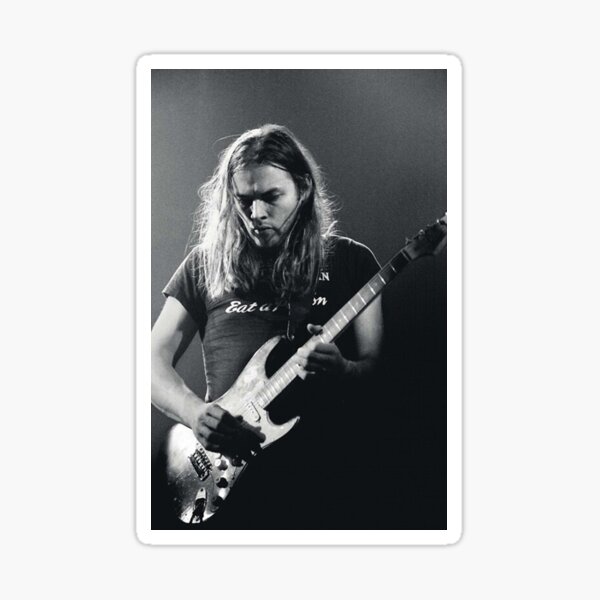"Gilmour Concert " Sticker for Sale by noreenswansoon | Redbubble