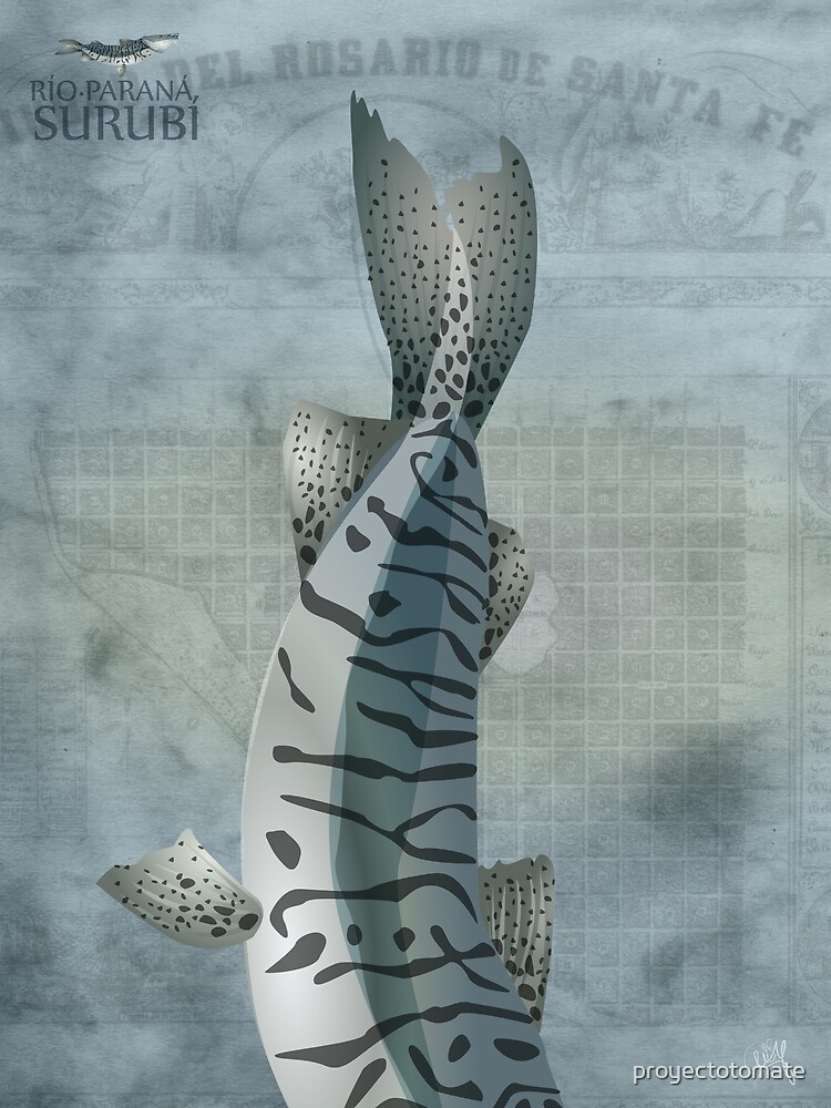 "Surubí Fish" Photographic Print by proyectotomate | Redbubble