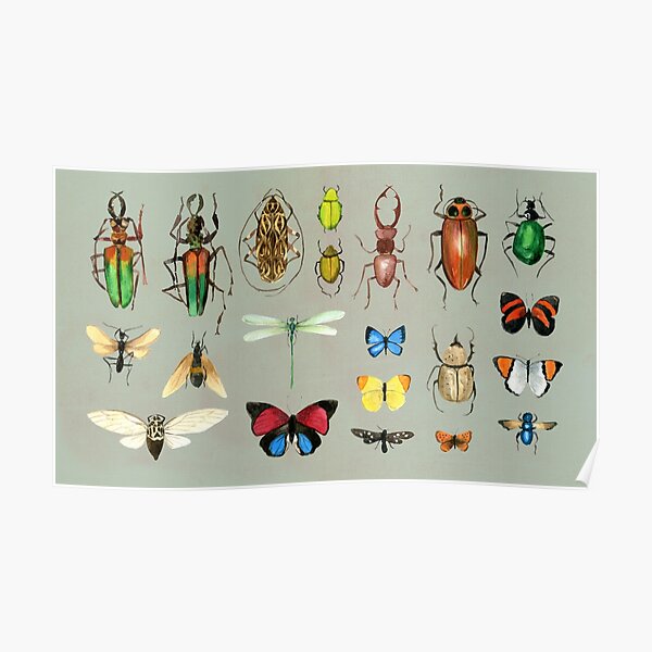"The Usual Suspects - Insects on grey - watercolour bugs pattern by ...