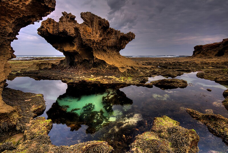 "The Rock Pool " by Robert Mullner | Redbubble