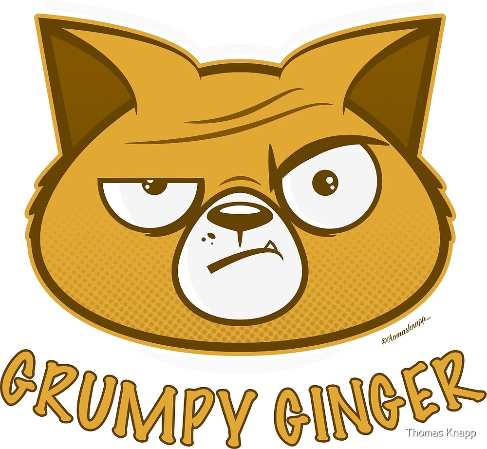 "Grumpy Ginger Cat" by Thomas Knapp | Redbubble