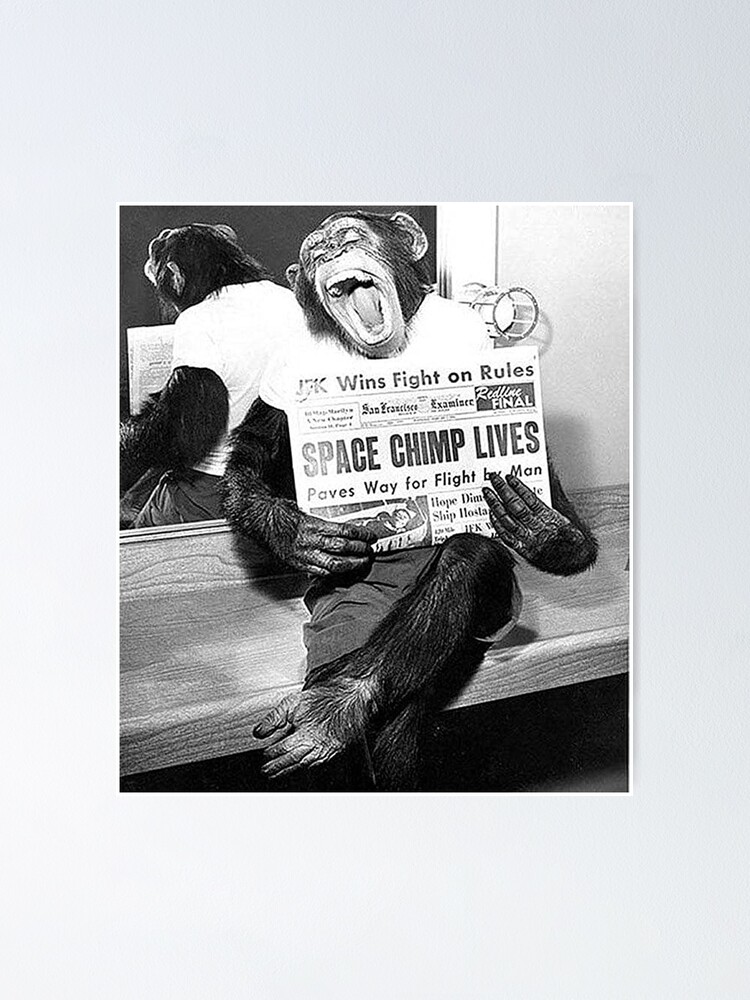 "Ham, space chimp, lives! Poster" Poster by frankiegreene | Redbubble