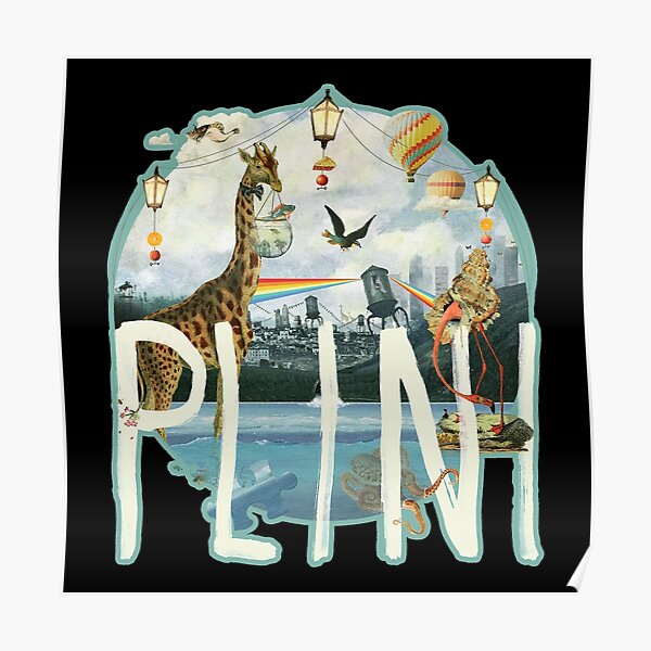 "Plini Trending This Art" Poster for Sale by Habson5046 | Redbubble