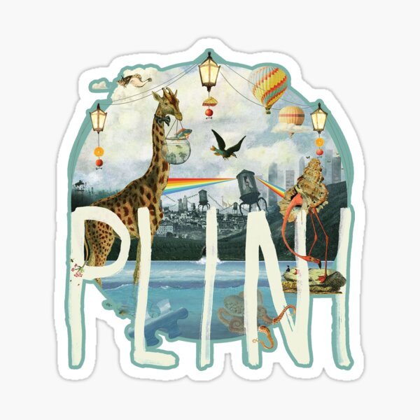 "Plini Trending This Art" Sticker for Sale by Habson5046 | Redbubble