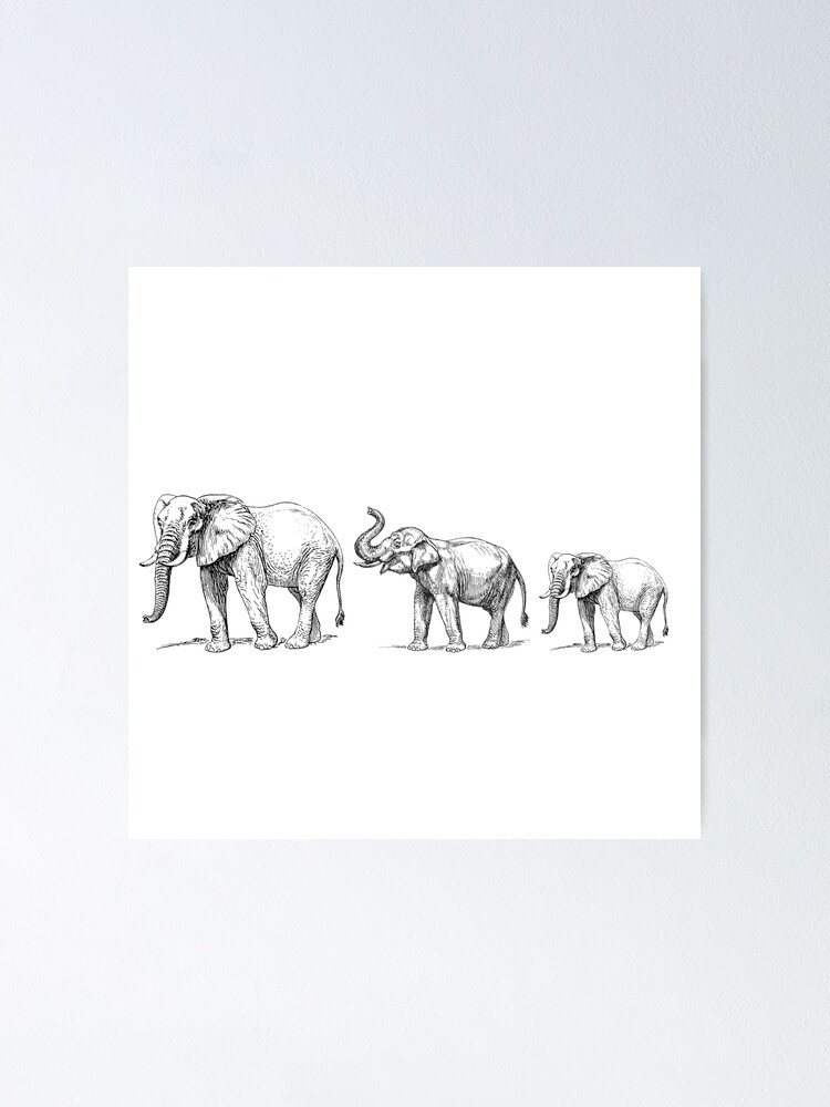 "Three Elephants - Sketch" Poster for Sale by Tydesi | Redbubble