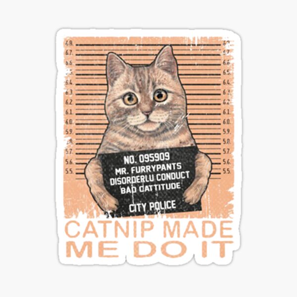 "Catnip Made Me Do It Funny Cat, Patrick's Day" Sticker for Sale by ...