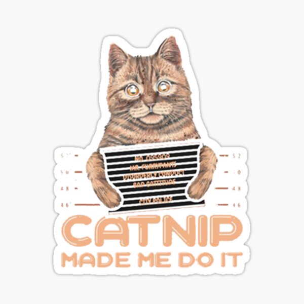 "Catnip made me do it Funny Cat" Sticker for Sale by ZacharyReeves ...