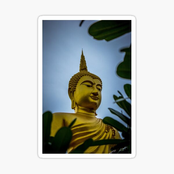 "Buddha" Sticker for Sale by DanzelD | Redbubble
