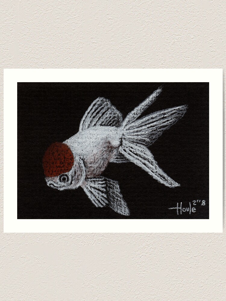 "Spot - Oranda Goldfish" Art Print by JohnHoule | Redbubble