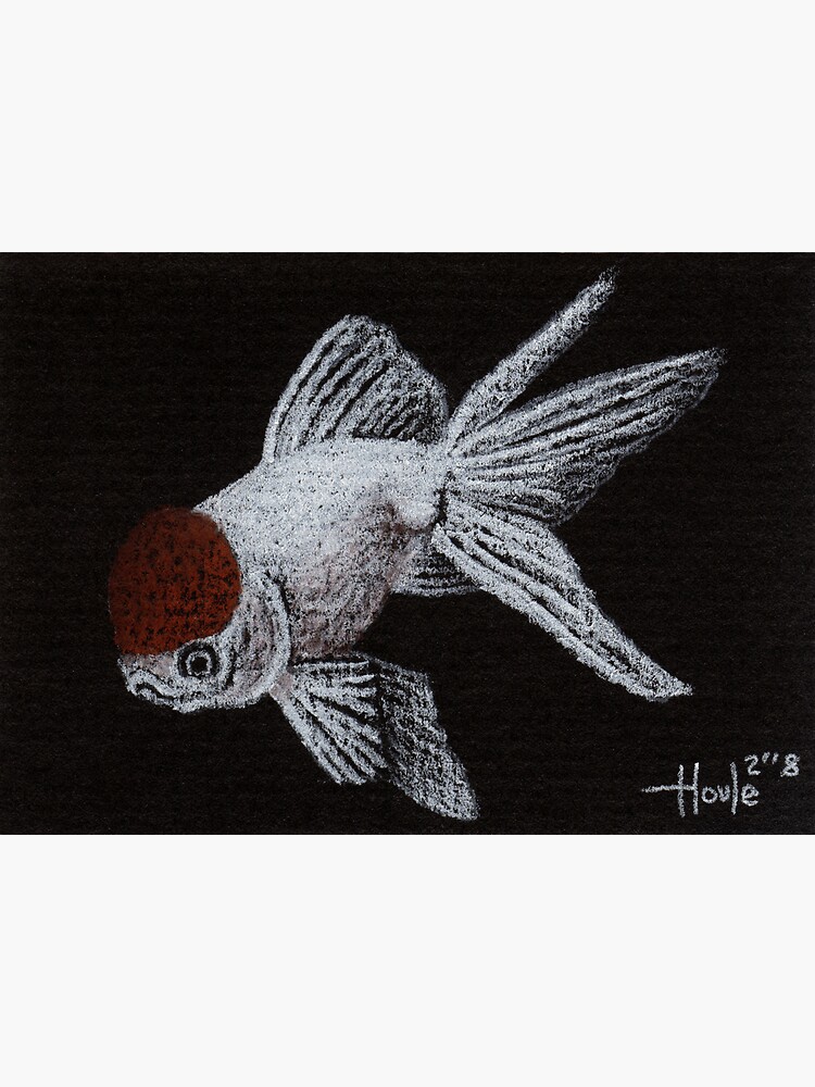 "Spot - Oranda Goldfish" Art Print by JohnHoule | Redbubble