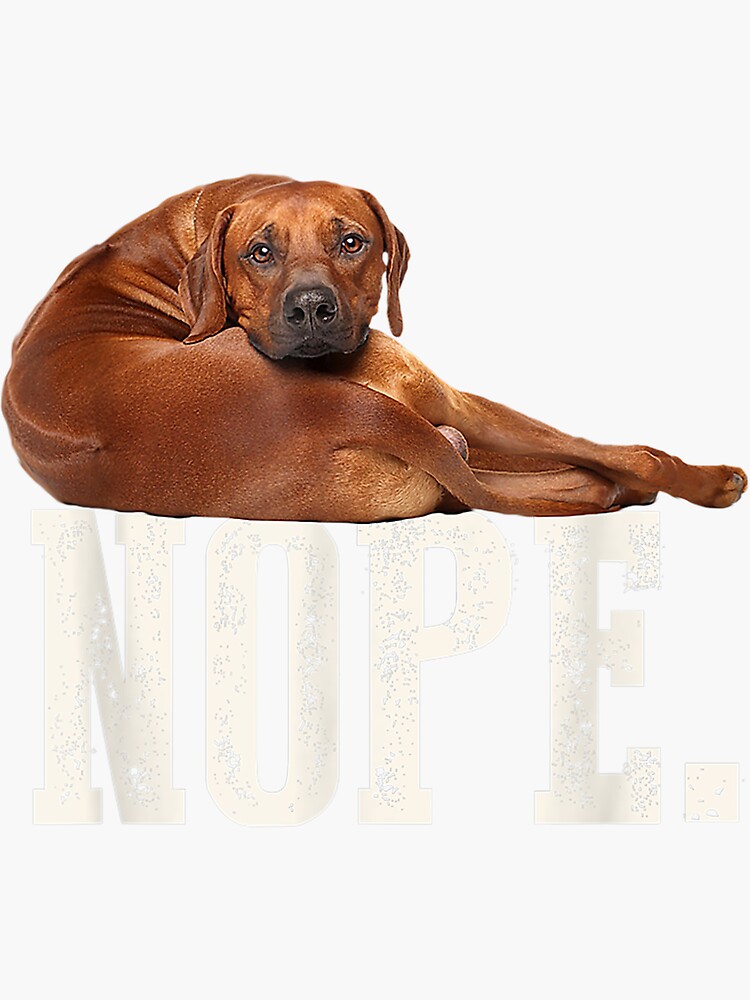 "Funny Rhodesian Ridgeback" Sticker for Sale by BORNN | Redbubble