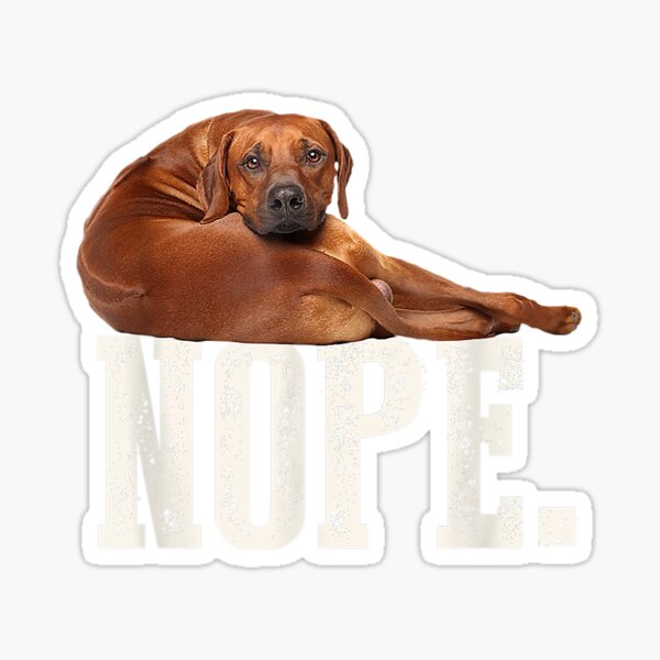 "Funny Rhodesian Ridgeback" Sticker for Sale by BORNN | Redbubble