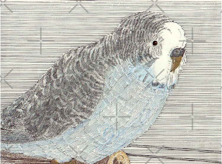 "042 - CHEEKY - COLOURED PENCIL & INK - 1985" by BLYTHART | Redbubble