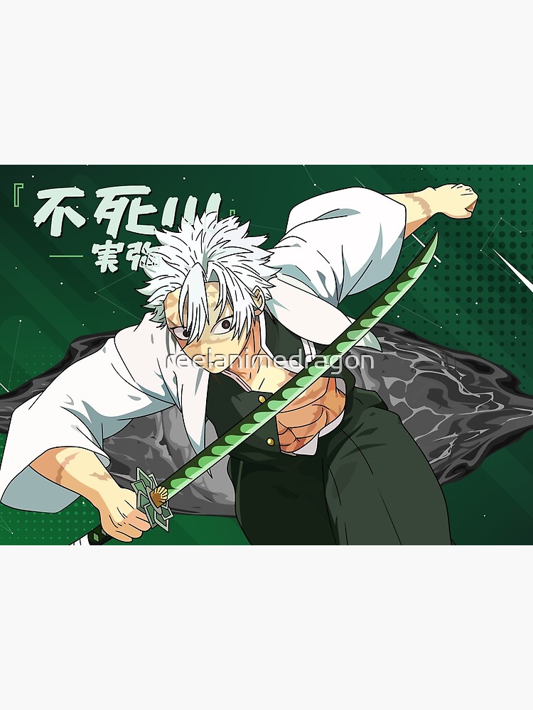 "Shinazugawa Kaze Hashira Skyfall | Demon Slayer" Art Print for Sale by ...
