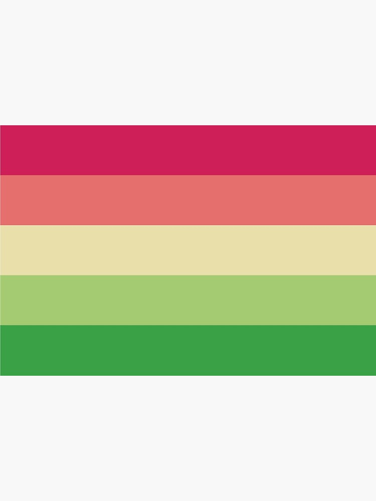 "Aroflux - Pride Flag" Poster for Sale by FlagsWorld | Redbubble