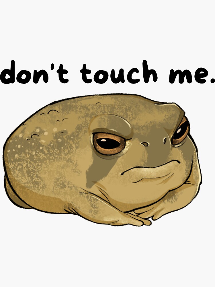 "Don't Touch Me Grumpy Frog!" Sticker for Sale by Tydesi | Redbubble