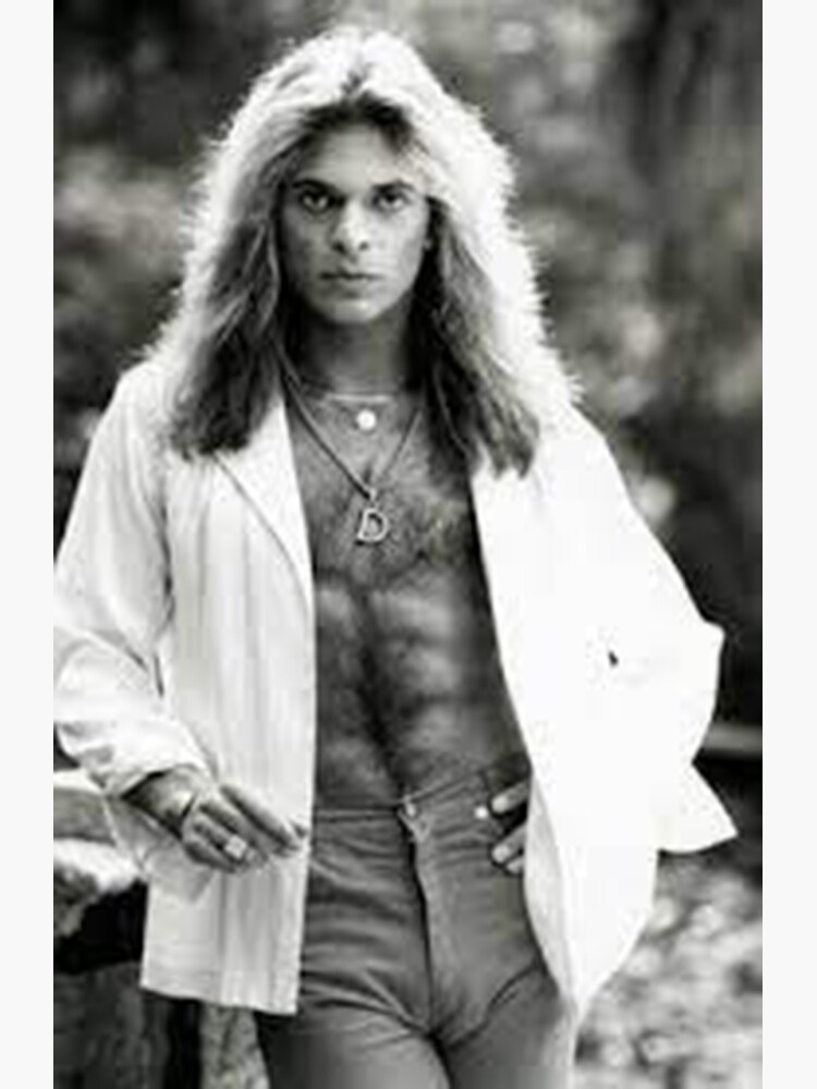 "David Lee Roth - Album" Poster for Sale by McCarrell | Redbubble