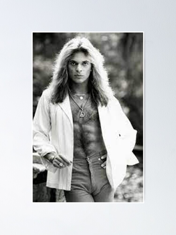 "David Lee Roth - Album" Poster for Sale by McCarrell | Redbubble