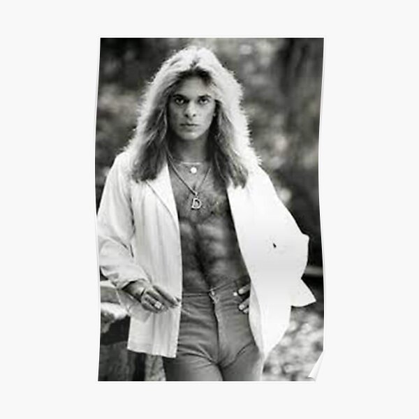 "David Lee Roth - Album" Poster for Sale by McCarrell | Redbubble