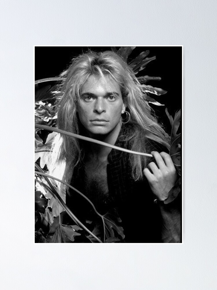 "David Lee Roth - Black & White" Poster for Sale by Arnuadds | Redbubble