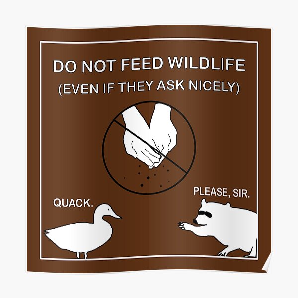 "Do not feed wildlife" Poster for Sale by nchildsps | Redbubble