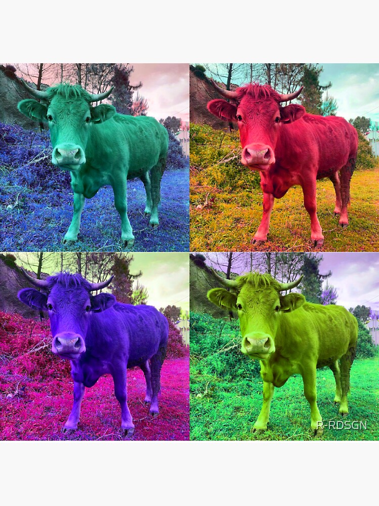 "four colored cows" Sticker for Sale by R-RDSGN | Redbubble