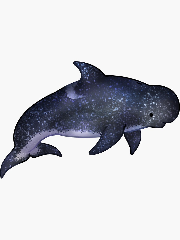 "Cozy Blunt-Snouted Dolphin" Sticker for Sale by FeenicksPhoenix ...