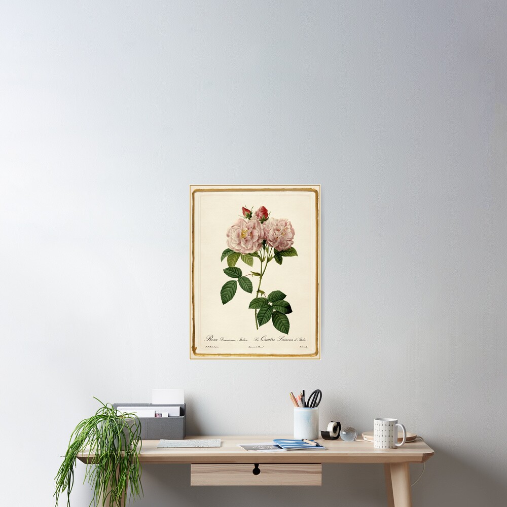 "gorgeous botanical pink rose" Poster for Sale by cottagecorococo ...