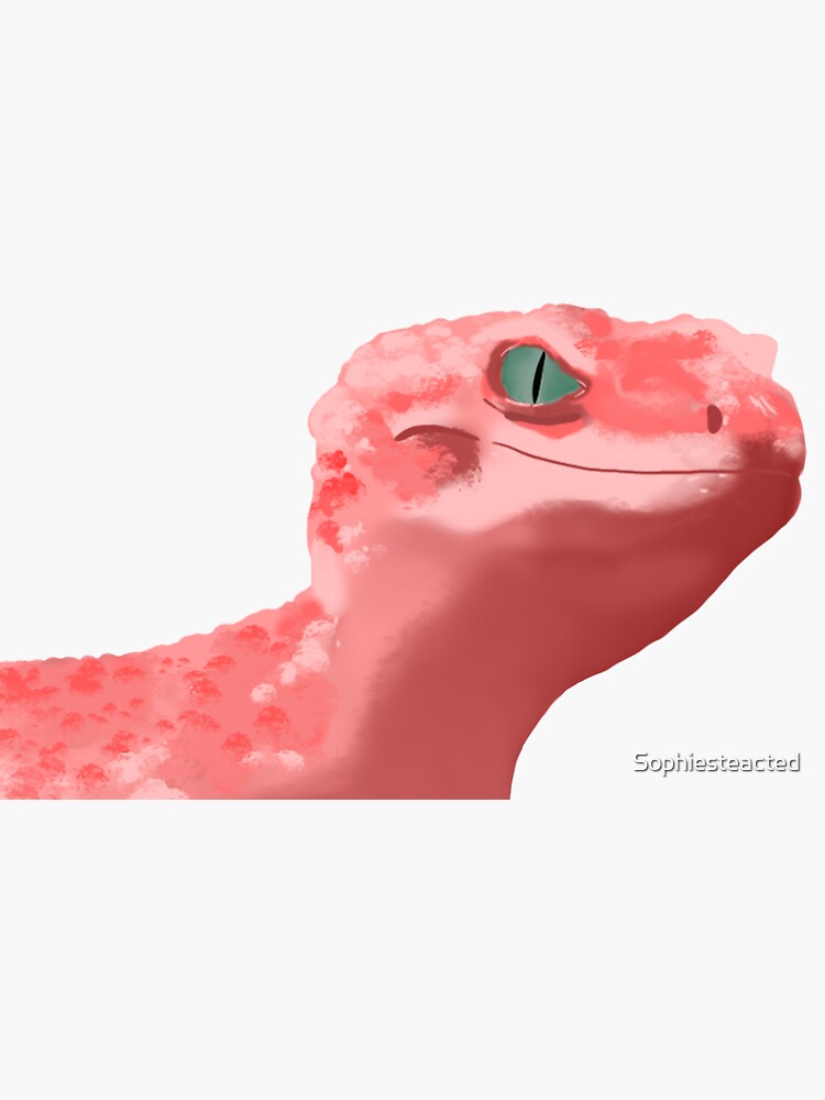 "Pink Gecko" Sticker for Sale by Sophiesteacted | Redbubble
