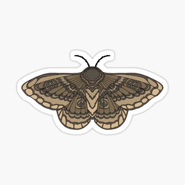 "Brown Simplistic Moth" Sticker for Sale by JasminMilena | Redbubble