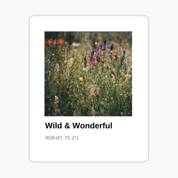 "Aesthetic Retro Print in Wild and Wonderful" Sticker for Sale by ...