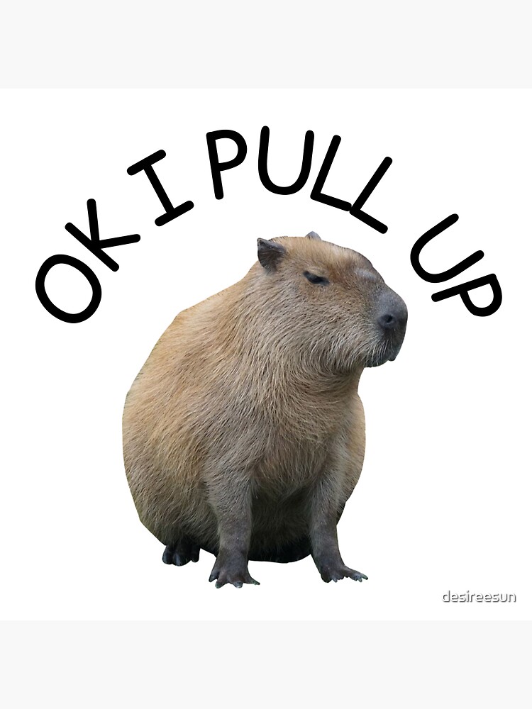 "ok I pull up" Sticker for Sale by desireesun | Redbubble