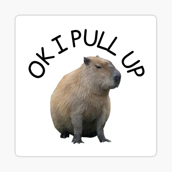 "ok I pull up" Sticker for Sale by desireesun | Redbubble