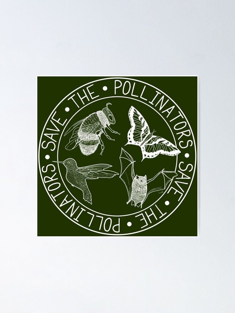 "Save the Pollinators - bee, hummingbird, butterfly, bat -large print ...